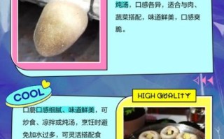 草菇不能和什么一起吃_草菇与哪些食物相克