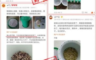 豆芽机怎么发豆芽_家用豆芽机使用步骤