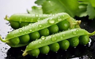 豌豆荚普通下载安装教程_豌豆荚普通版怎么下载