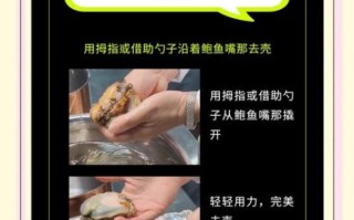 鲍鱼怎么清洗_鲍鱼清洗方法