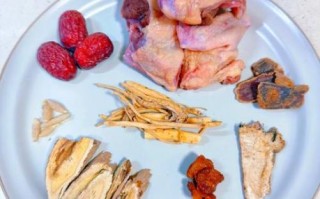 鸽子肉怎么炖最营养_家常鸽子汤做法大全