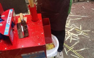 烤甘蔗机摆摊赚钱吗_烤甘蔗机摆摊成本多少