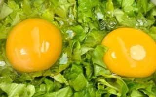 煎鸡蛋吃了会发胖吗_减肥可以吃煎鸡蛋吗