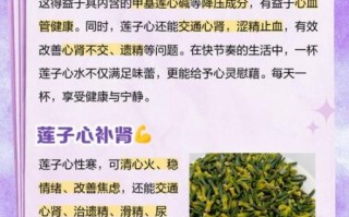 莲子心茶几天喝一次好_莲子心茶多久喝一次不伤身