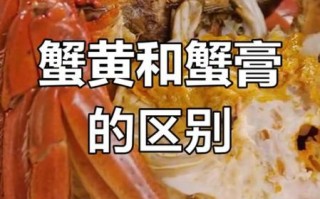 蟹黄是什么样子_蟹黄和蟹膏区别