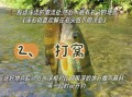 石斑鱼怎么钓_石斑鱼钓法技巧