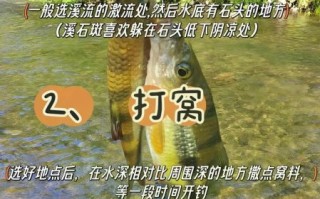 石斑鱼怎么钓_石斑鱼钓法技巧