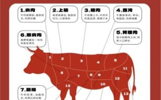 牛排是牛的哪个部位_不同部位口感差异