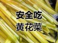 新鲜黄花菜怎么焯水_家常做法大全