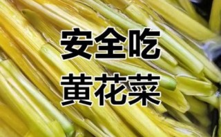 新鲜黄花菜怎么焯水_家常做法大全