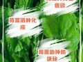 茼蒿治什么病最好_茼蒿降血压效果好吗