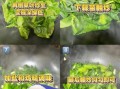莙荙菜图片_莙荙菜怎么做好吃