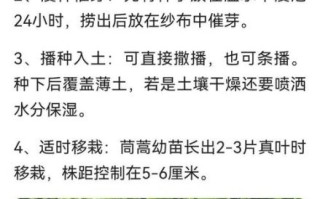 大叶茼蒿怎么种_大叶茼蒿营养价值