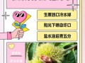 板栗怎么去皮最快_生板栗如何剥壳