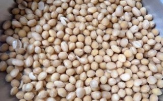 炖猪蹄放干黄豆行吗_干黄豆要不要提前泡