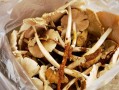鸡纵菌多少钱一斤_鸡纵菌价格行情