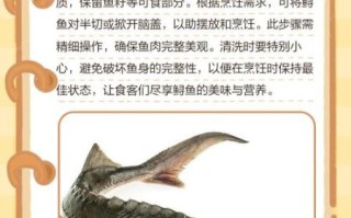 中华鲟鱼怎么处理_中华鲟鱼怎么清洗 中华鲟鱼怎么处理_中华鲟鱼怎么清洗