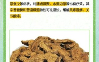 麸炒苍术的功效与作用_麸炒苍术和苍术区别