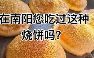五香烤饼怎么做_五香烤饼的做法大全
