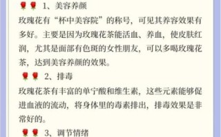 玫瑰花茶的功效与作用_玫瑰花茶怎么喝才养颜