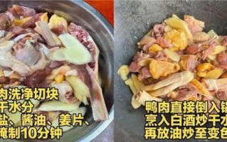 鸭腿的做法大全_啤酒鸭腿怎么做才入味