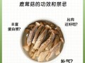 鹿茸的功效与作用吃法_鹿茸怎么吃效果最好