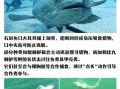 大石斑鱼图片_如何分辨真假