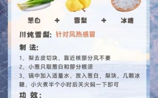 清肺化痰止咳的食物有哪些_怎么吃最有效