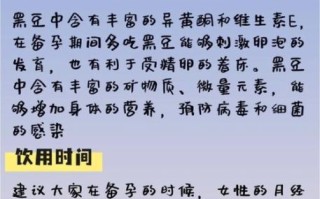 黑豆可以打豆浆吗_能常喝吗