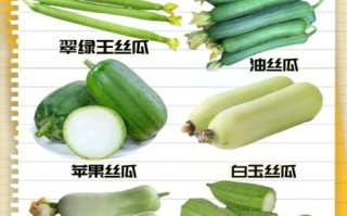 丝瓜有几种_丝瓜品种分类大全