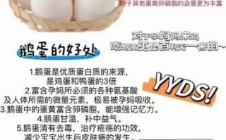 鹅蛋的营养价值高吗_鹅蛋和鸡蛋哪个营养好