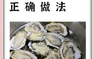 生蚝最简单的做法_清蒸生蚝几分钟
