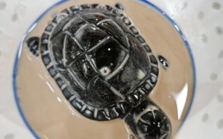 龟苓膏是增肥的还是减肥的_晚上吃会不会胖