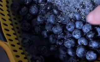 蓝莓果酱怎么做_蓝莓果酱保存多久