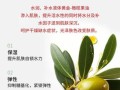 医用橄榄油的功效与作用_医用橄榄油可以擦伤口吗