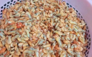 虾酱怎么做好吃_家常虾酱做法大全