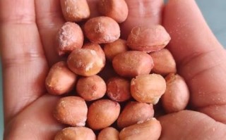 煮花生米多长时间_怎么判断熟没熟