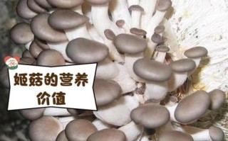 真姬菇不能和什么同食_真姬菇禁忌搭配有哪些