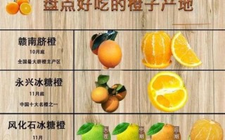 中国最好吃的橙子排名_哪里的橙子最甜