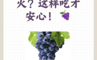 葡萄干一天吃多少合适_吃多了会上火吗