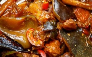 红烧甲鱼炖鸡怎么做_家常做法步骤详解