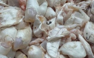 鱼鳔图片_鱼鳔长什么样