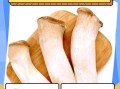 杏鲍菇不焯水有毒吗_杏鲍菇不焯水能吃吗