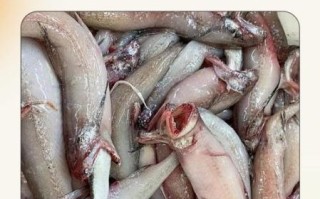 虾潺是什么_虾潺怎么做好吃