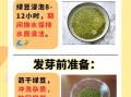 绿豆芽怎么发_绿豆芽发芽最快方法