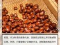 鲜板栗怎么去壳_鲜板栗内皮怎么剥