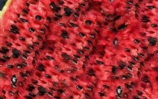 西瓜子是什么瓜的种子_西瓜子来自哪种瓜