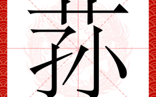 荪怎么读拼音_荪是什么意思