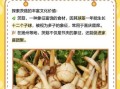 茨菇的功效与作用_茨菇的禁忌有哪些