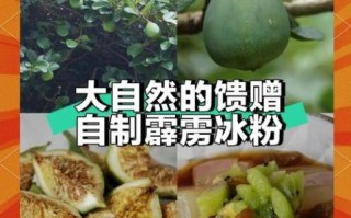 冰粉果是什么_冰粉果怎么做